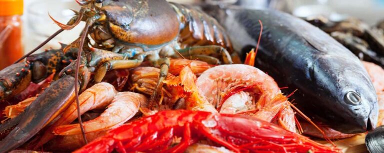 Peru Main Exports and Imports: Key Products and Insights